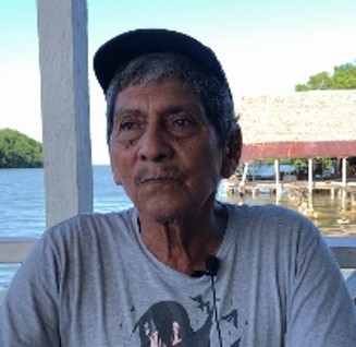 Beekeeping in the Mangroves of Guatemala - Myriad Canada ...